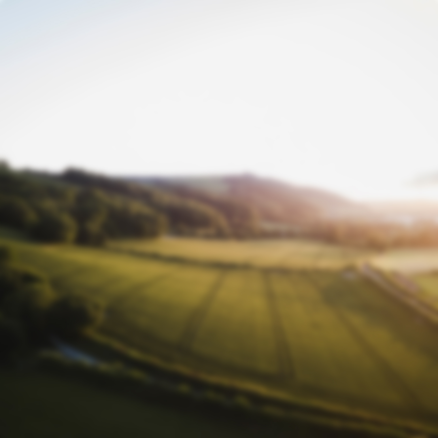 This doctor is also a farmer - from hobby to success - Green Gulf